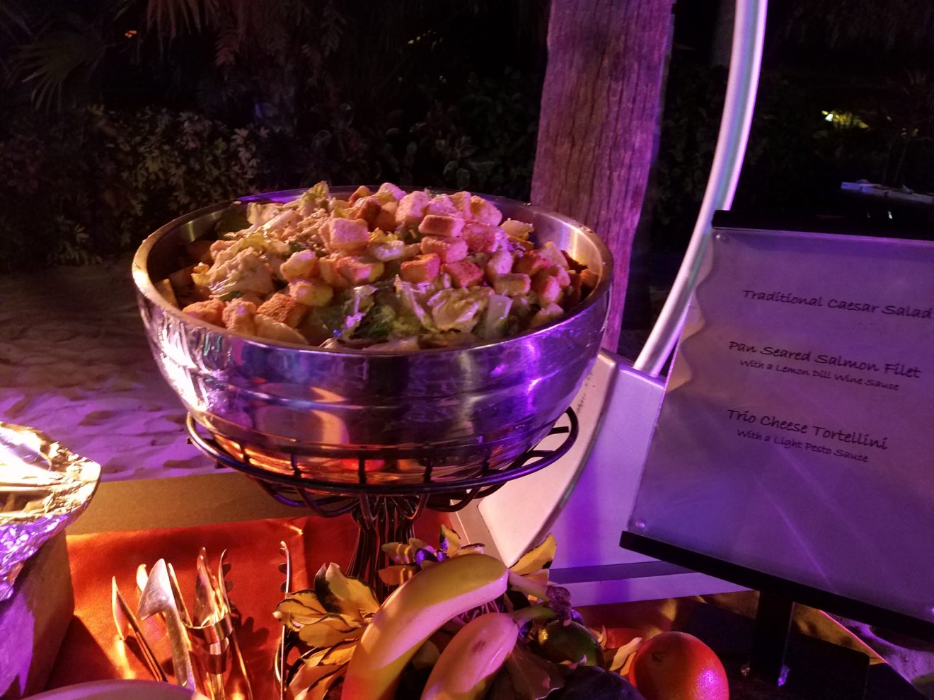 Discovery Cove's Paradise Nights Review | Chip and Company