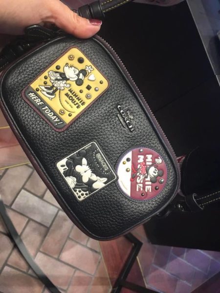 Check Out the Minnie Mouse Coach Collection at Disney Springs | Chip ...
