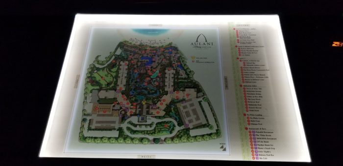 Sunrise Walking Tour of Disney's Aulani Resort & Spa | Chip and Company