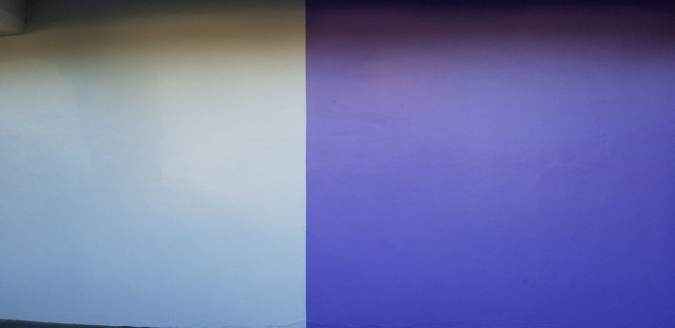 The Famous Purple Wall at Magic Kingdom Changes Again | Chip and Company