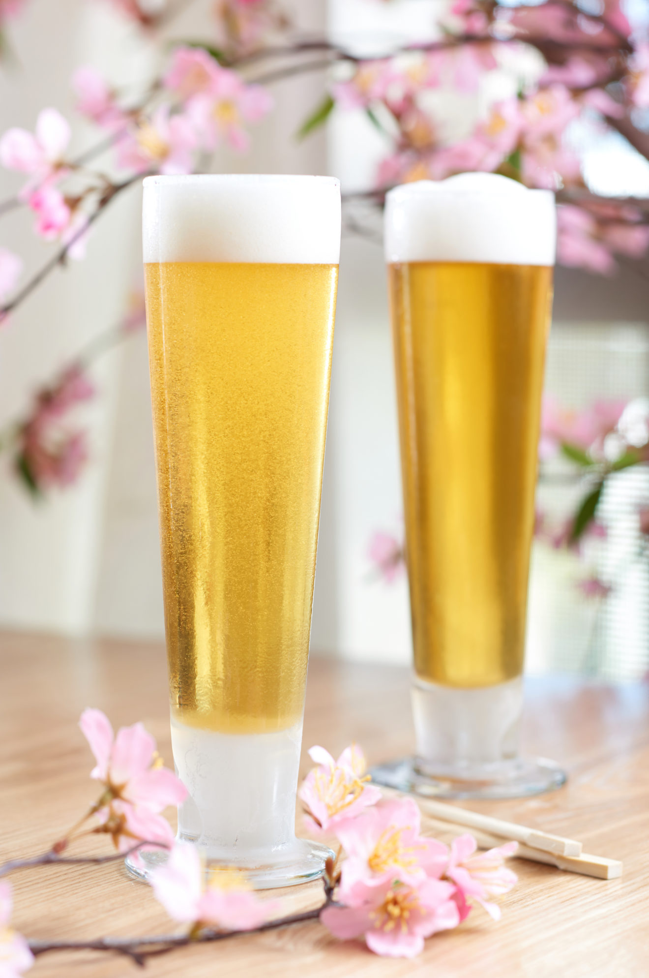 New Morimoto Sakura Festival Menu with Delicious Photos! | Chip and Company