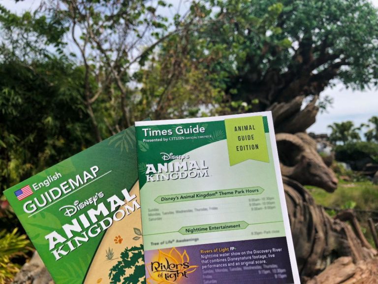 Animal Kingdom Time and Animal Guide are Now Combined | Chip and Company