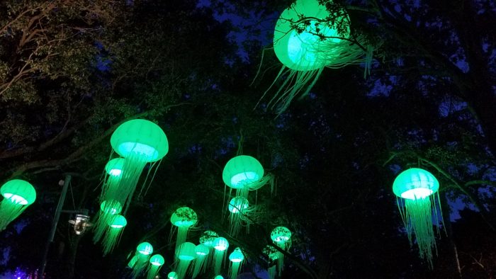 SeaWorld's Electric Ocean Sea It Glow Illuminates Summer Nights | Chip ...