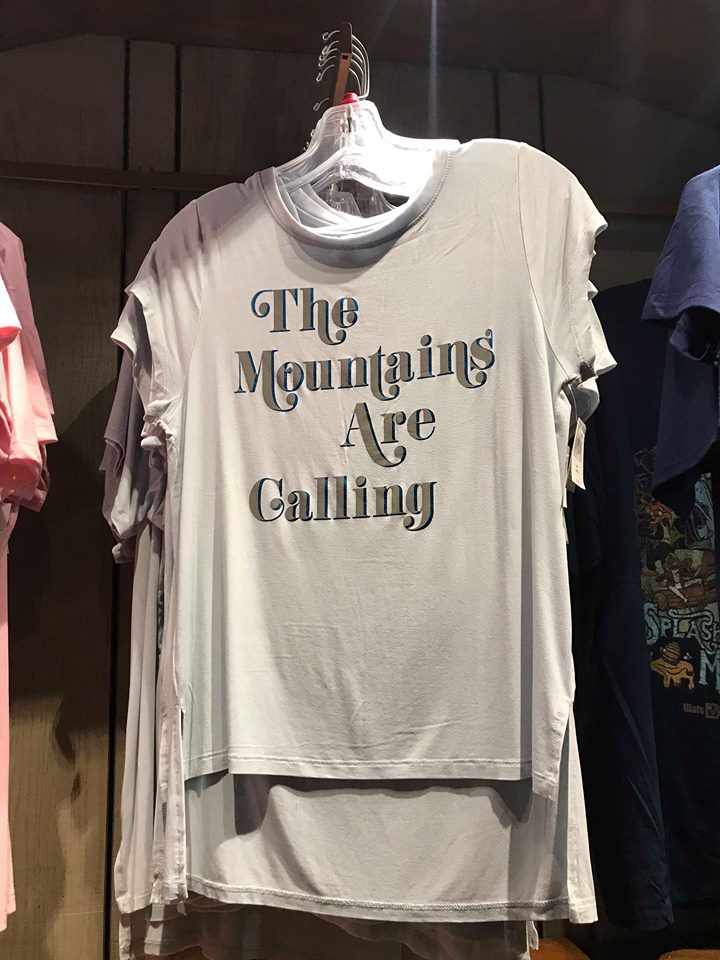 Zip-A-Dee-Doo-Dah Fun New Splash Mountain Merchandise | Chip and Company