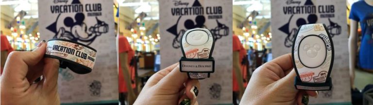 New Disney Vacation Club Merchandise At Disney Springs | Chip and Company