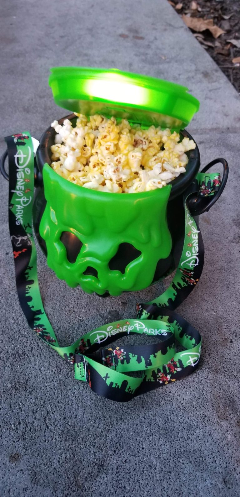 A Close Up Look At The Disney Parks Cauldron Popcorn Bucket | Chip and ...