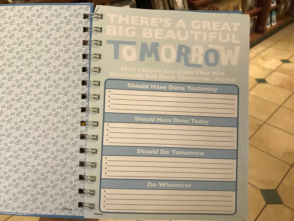 Disney Planners Make Organizing A Little More Magical | Chip and Company