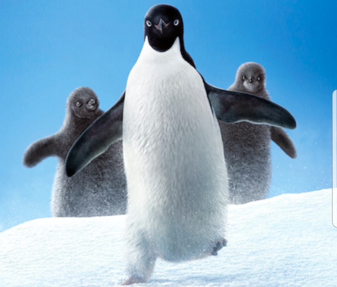 Disneynature's Penguins Coming Soon to a Theater Near You