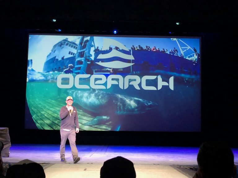 An Inside Look at SeaWorld Orlando | Chip and Company
