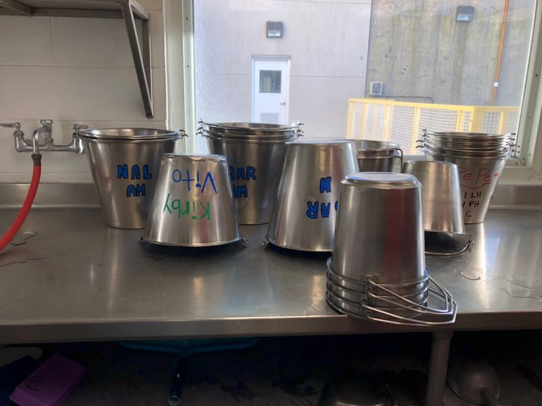 An Inside Look at SeaWorld Orlando | Chip and Company