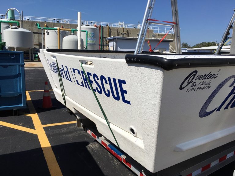 An Inside Look at SeaWorld Orlando | Chip and Company