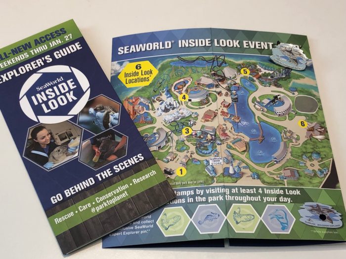 An Inside Look at SeaWorld Orlando | Chip and Company