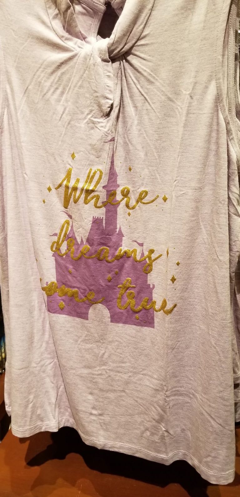 Dreams Come True With The New Disney Castle Merchandise | Chip and Company