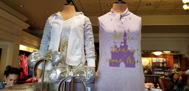Dreams Come True With The New Disney Castle Merchandise | Chip and Company