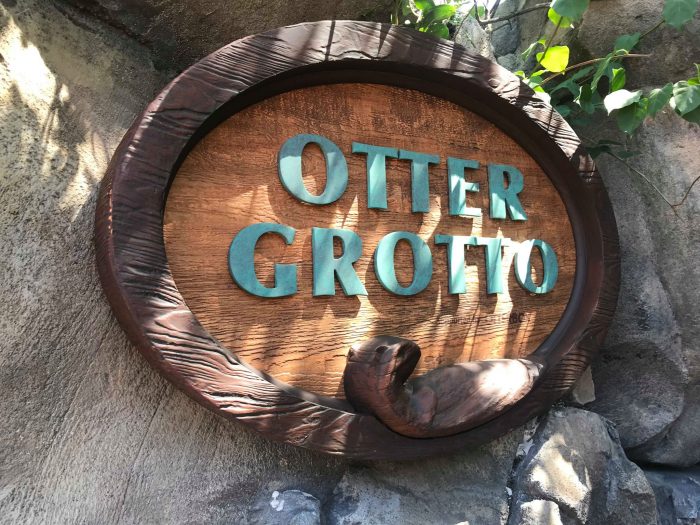 Photos: New Otters Grotto at Disney’s Animal Kingdom Park. | Chip and ...