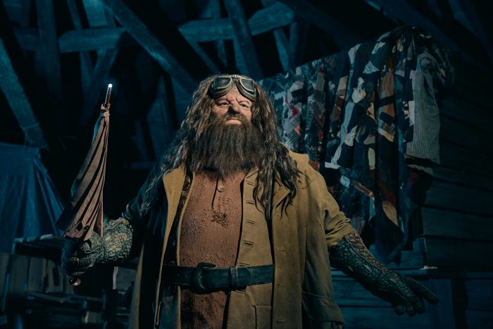 Universal Reveals Photos of an Incredible Life-like Animated Hagrid For ...