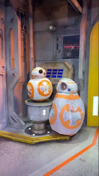 Cutest Little BB-8 at Walt Disney World | Chip and Company