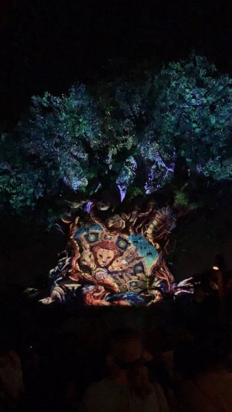 New Lion King Inspired Tree of Life Awakenings Begins | Chip and Company