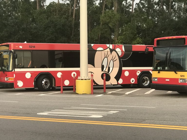 Up Close Look At The Brand New Disney Character Buses | Chip and Company