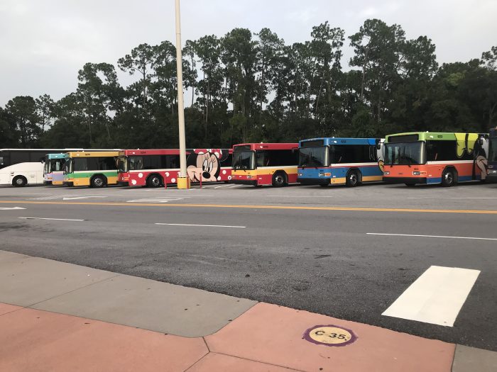 Up Close Look At The Brand New Disney Character Buses | Chip and Company