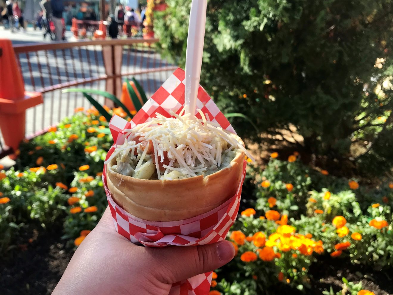 New Holiday Cone-Coctions At The Cozy Cone Motel | Chip and Company