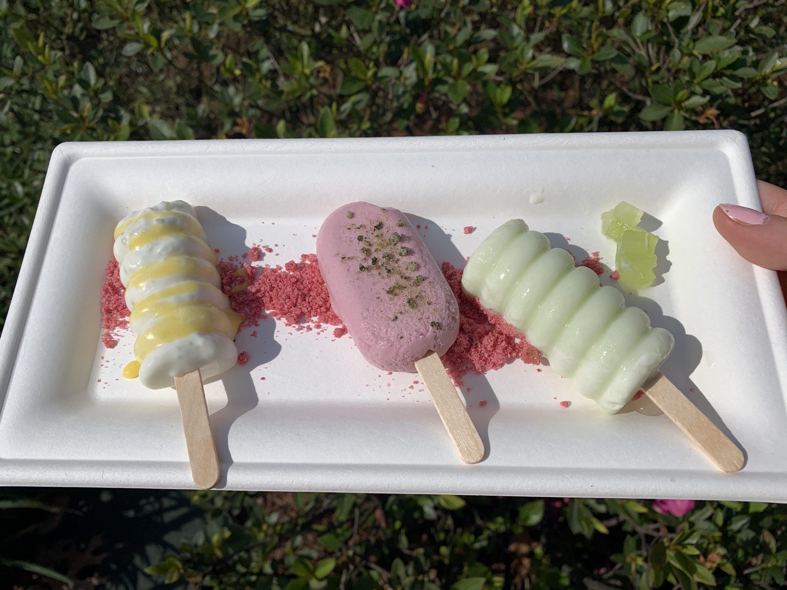 A Delicious Popsicle Trio Pops Over to Epcot | Chip and Company
