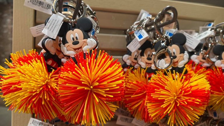 Adorable Disney Koosh Ball Keychains Have Us Jumping For Joy | Chip and ...
