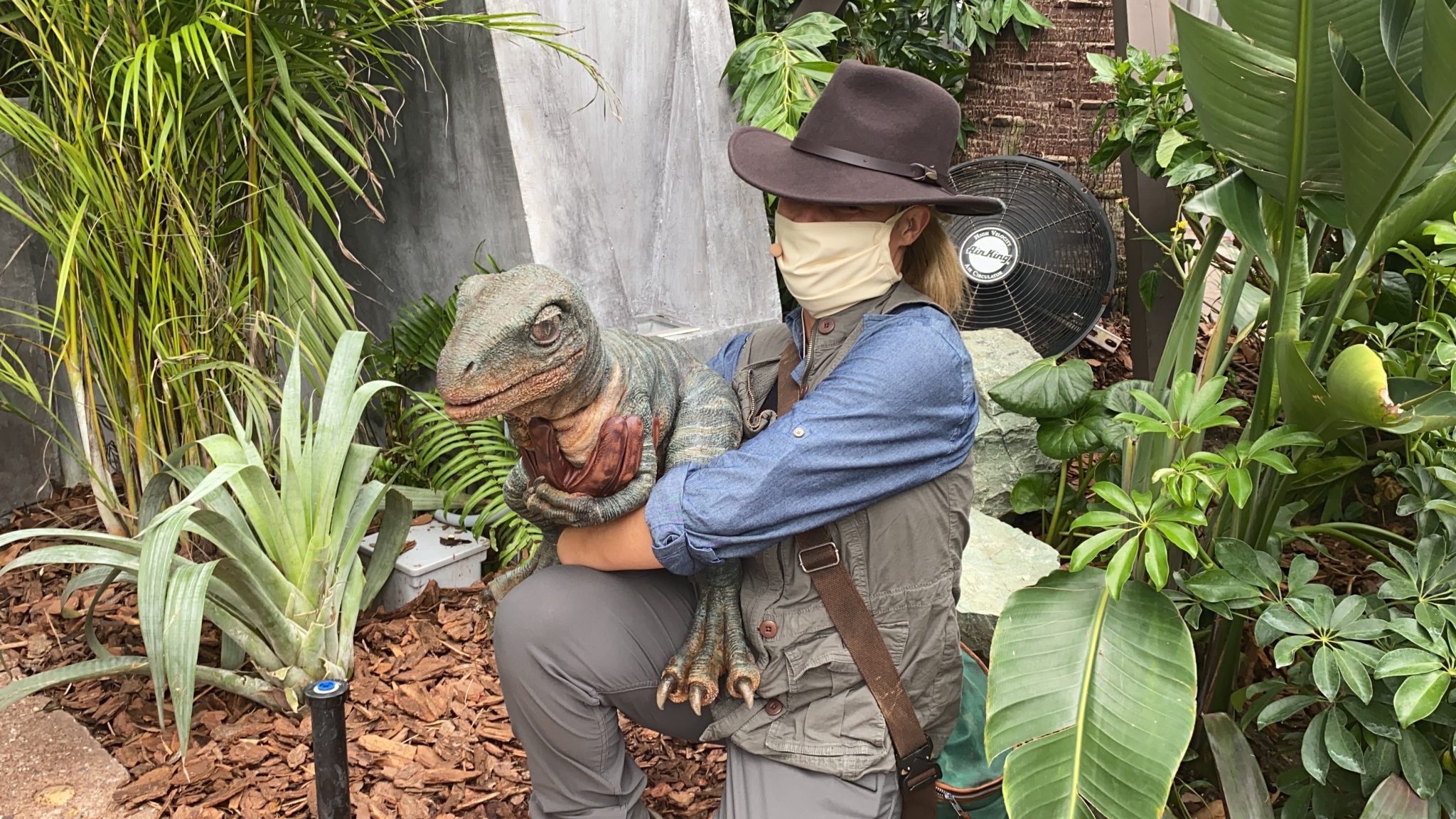 Meet The New Baby Velociraptor Now At Univeral’s Raptor Encounter ...