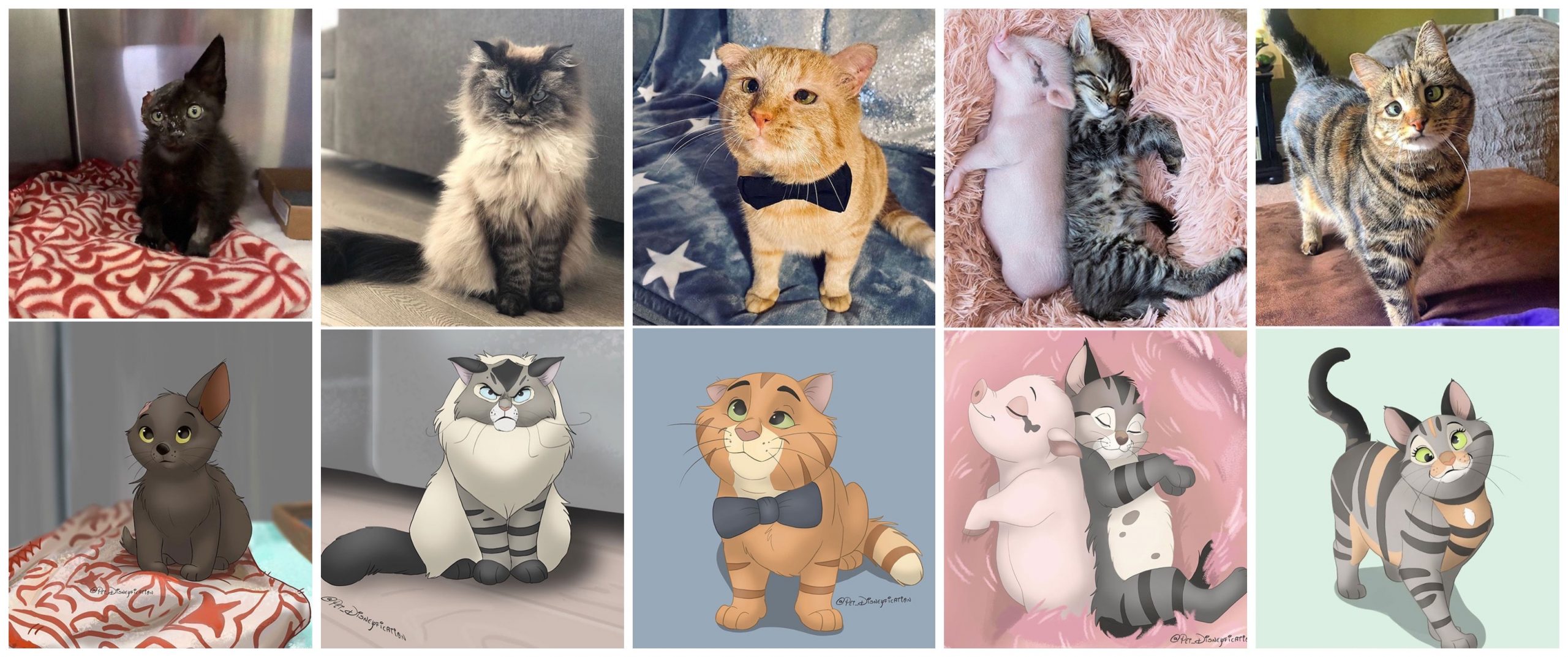 Artist Turns Pet Photos into Adorable Disney Animated Animals | Chip ...