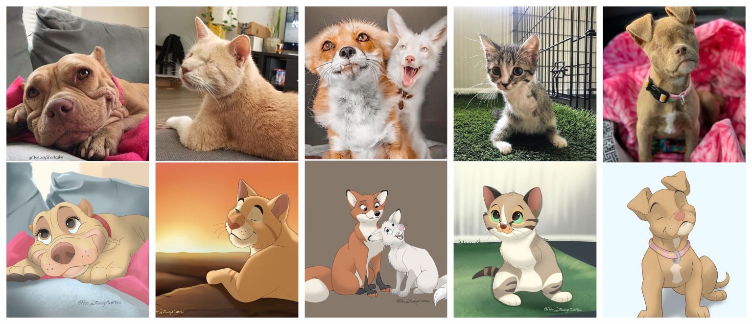 Artist Turns Pet Photos into Adorable Disney Animated Animals | Chip ...