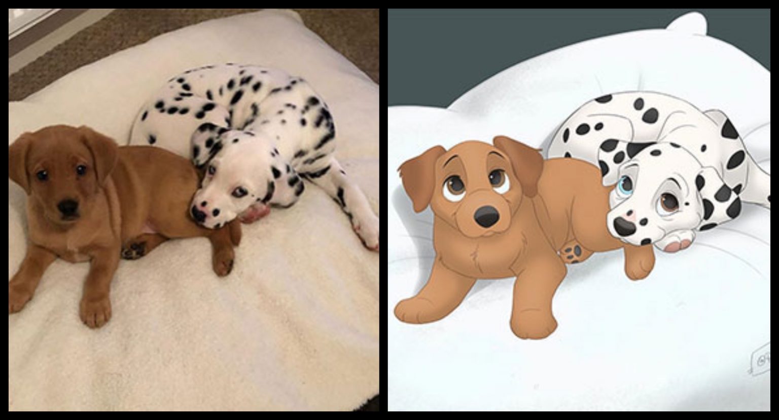 Artist Turns Pet Photos into Adorable Disney Animated Animals | Chip ...