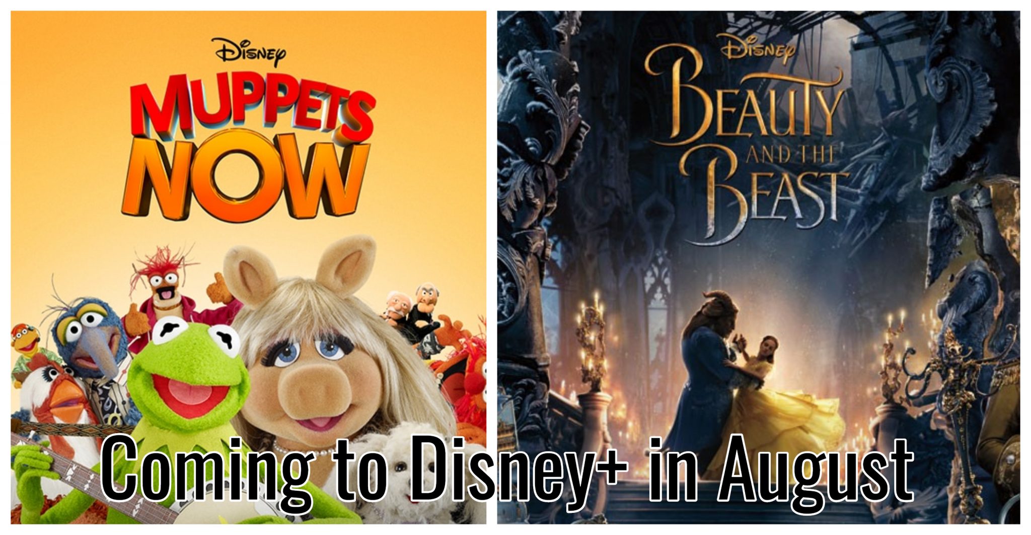 Disney + August