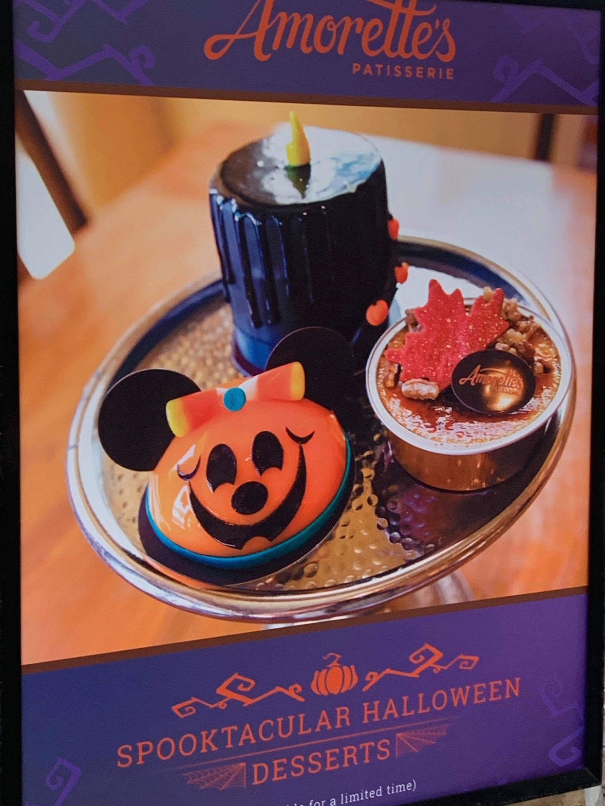 0F05ABD6-30D8-4AB9-A557-B26ACA918EA8