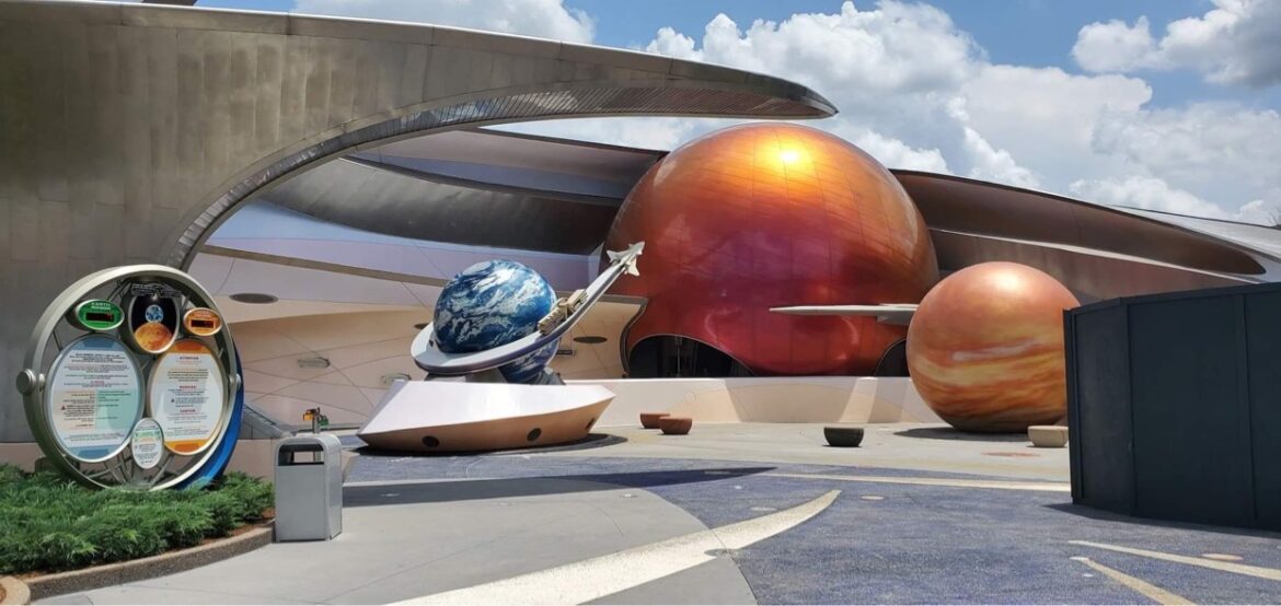 Stray Cats spotted in Epcot | Chip and Company