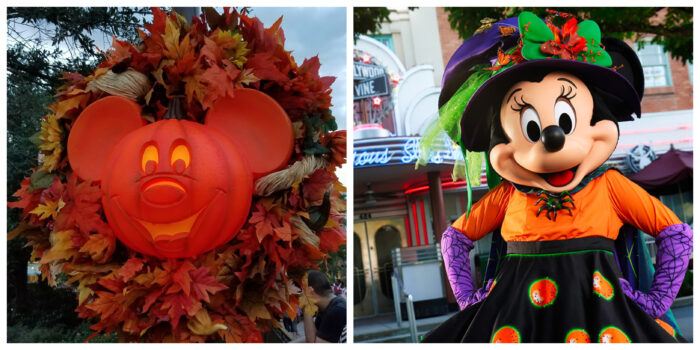 Fall at Disney World