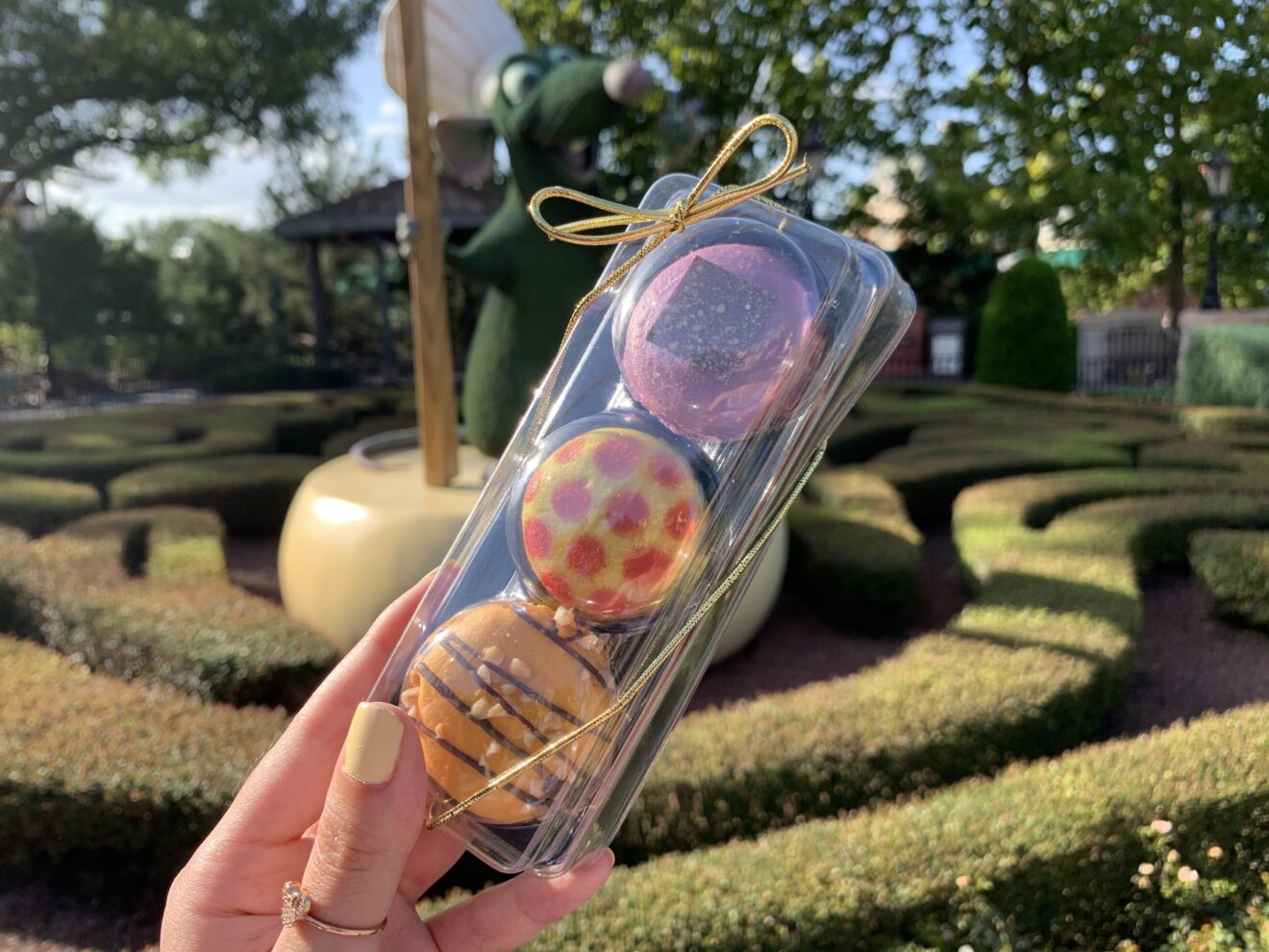 French Macaron Trio now available in Epcot | Chip and Company