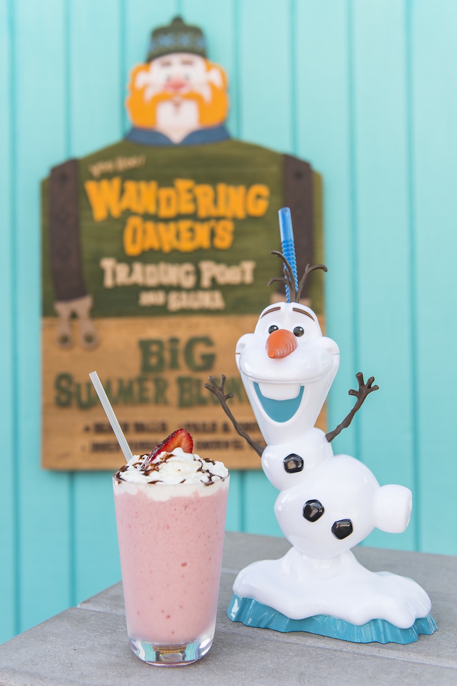 Disney Cruise Line Frozen Blended Drink Recipes! | Chip and Company