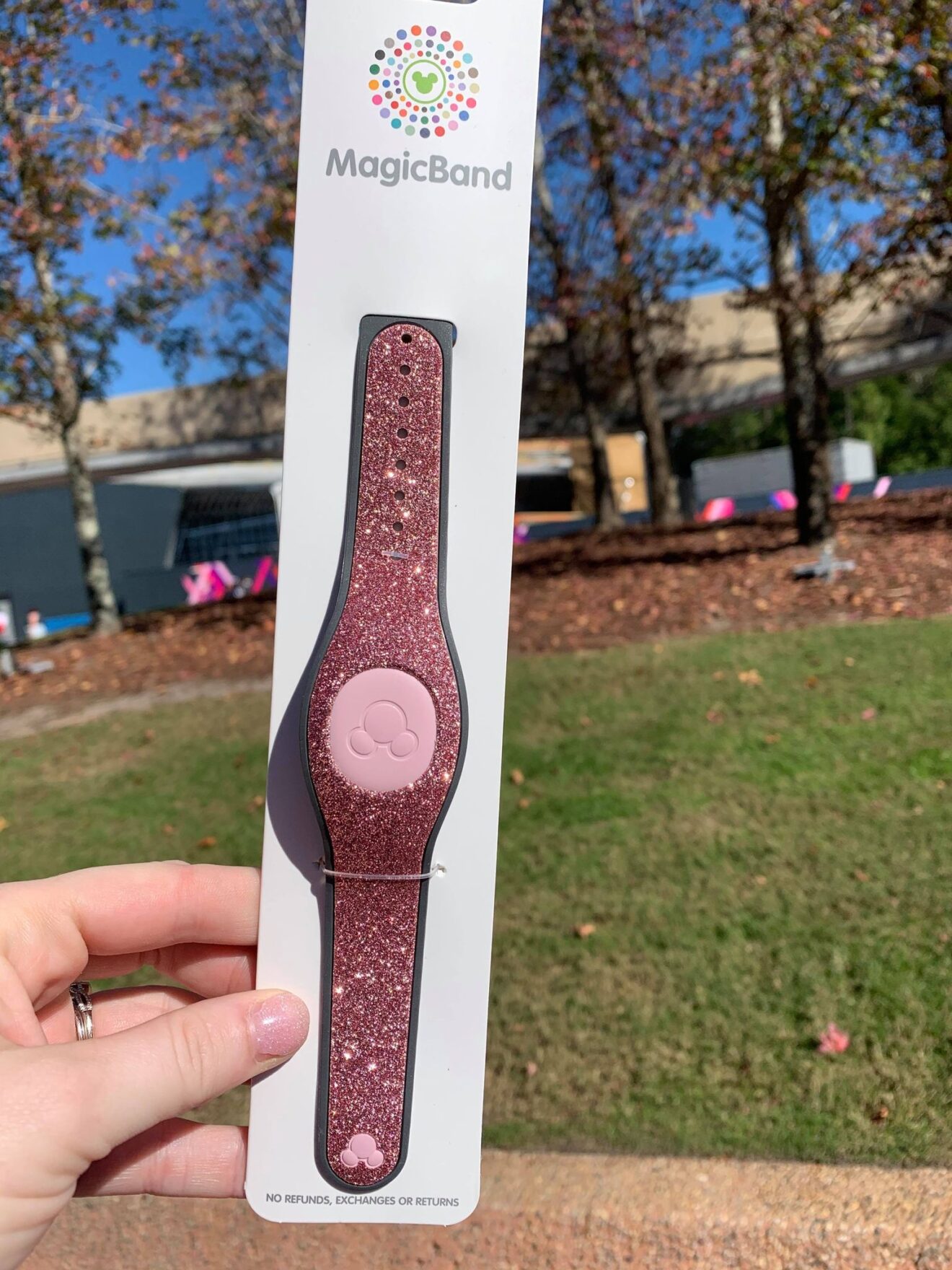 Rose Gold Glitter Magic Band spotted at Disney World | Chip and Company