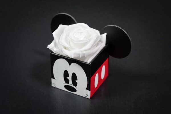 Roseshire-Disney-OH-BOY-Mickey-Mouse-Roses-White_800x