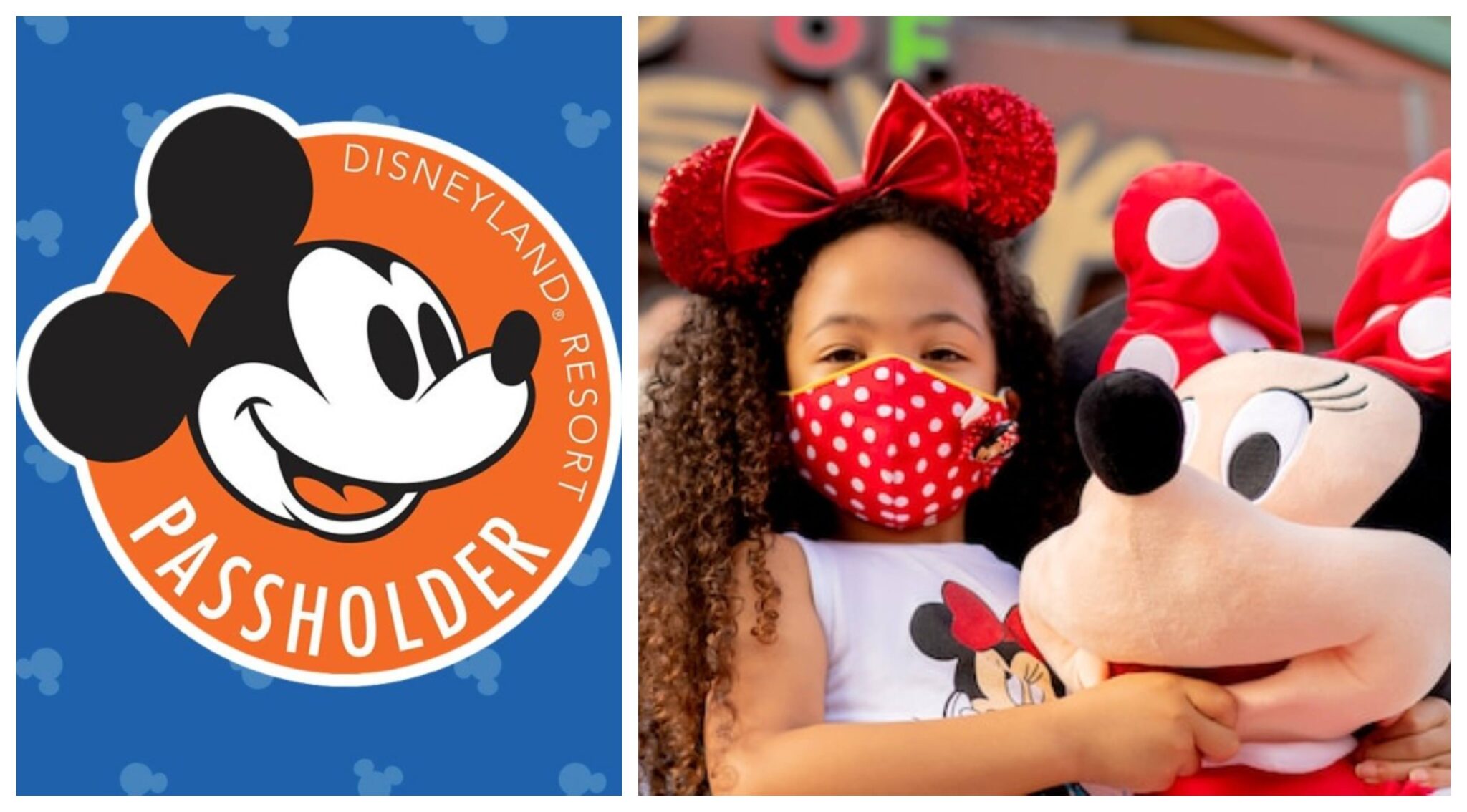 Disneyland Annual Passholders take advantage of 30% off merch discount ...