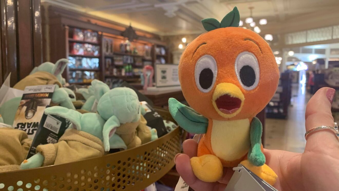 New Orange Bird Shoulder Pet Has Flown Into Walt Disney World | Chip ...
