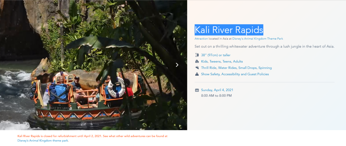 Kali River Rapids is now open in Disney's Animal Kingdom | Chip and Company