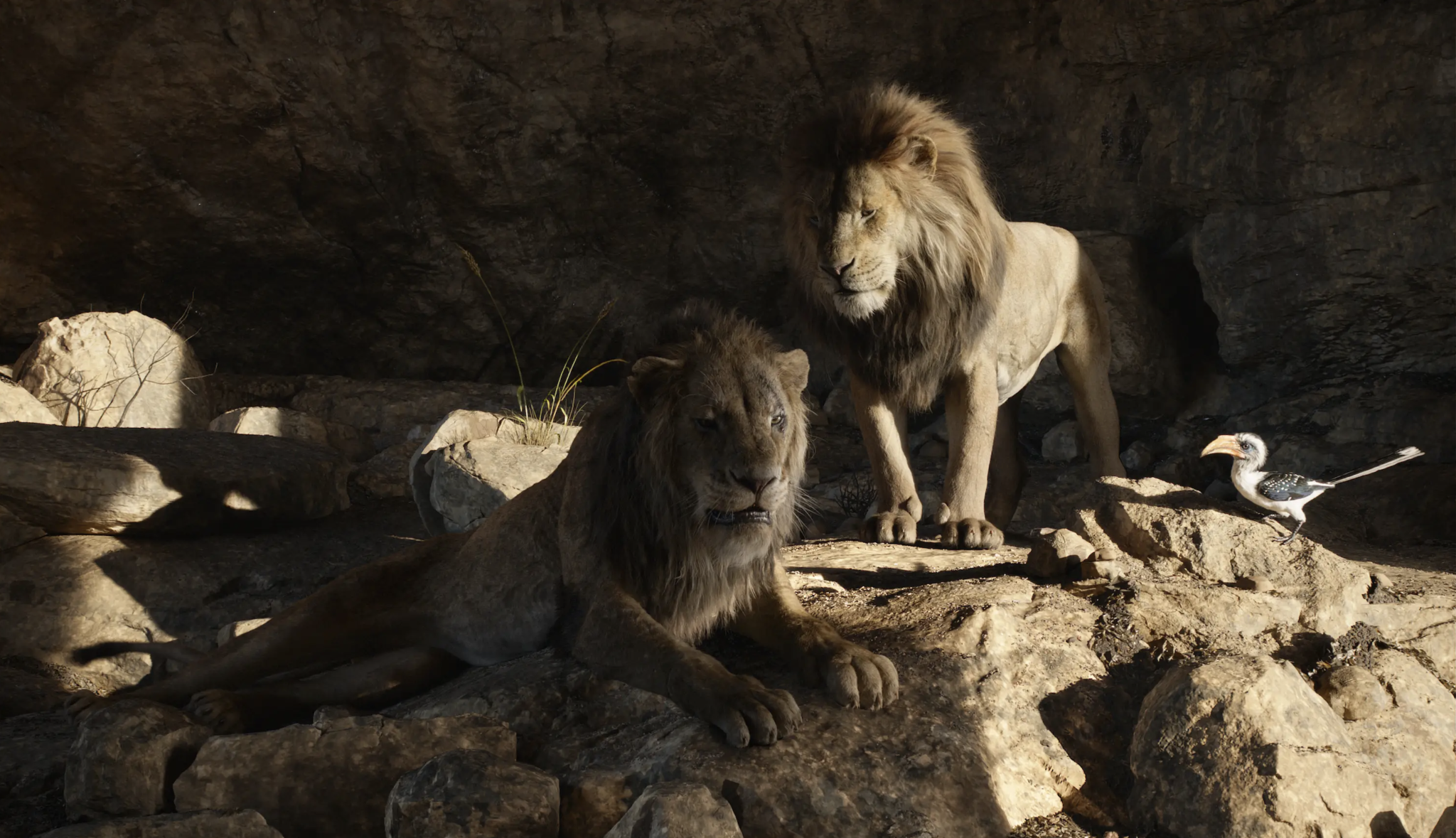Live-Action 'The Lion King' Sequel Casting Call Hints at New Characters ...