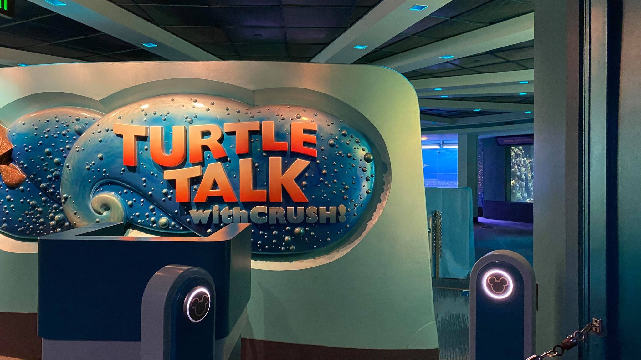Turtle Talk with Crush officially reopens in Epcot | Chip and Company