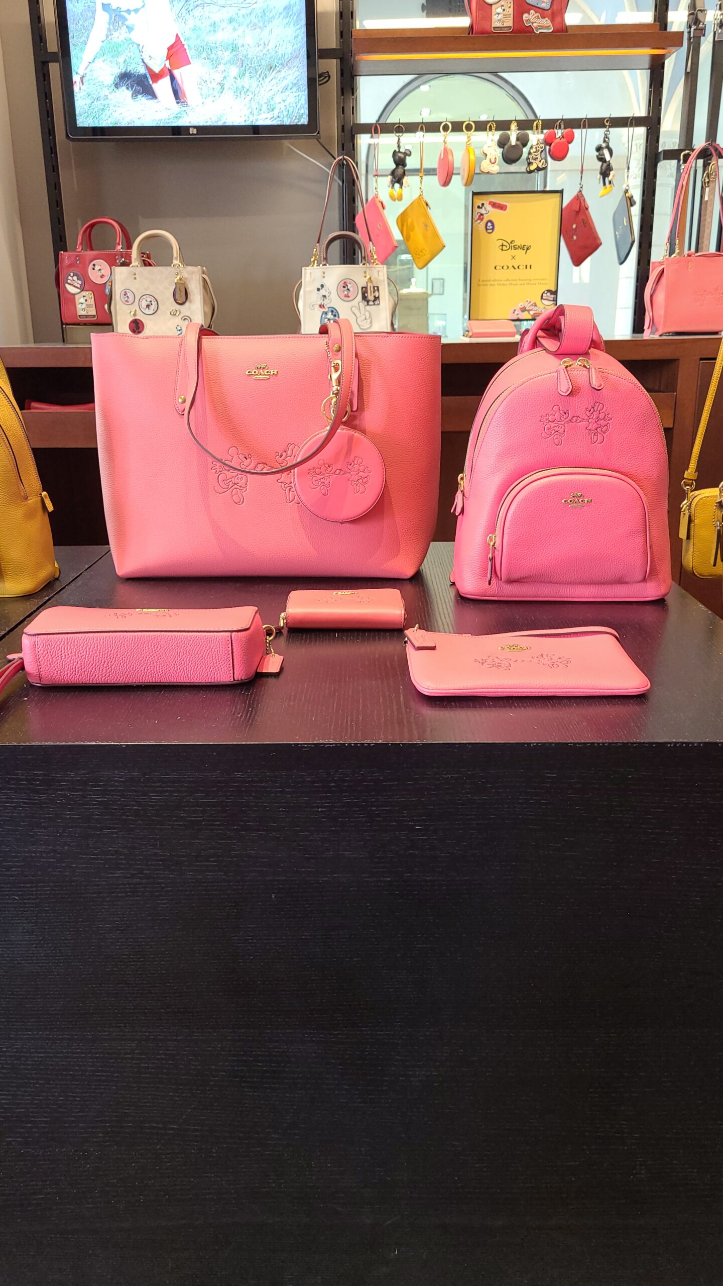 New Mickey & Minnie Coach Collection spotted at Disney Springs | Chip ...