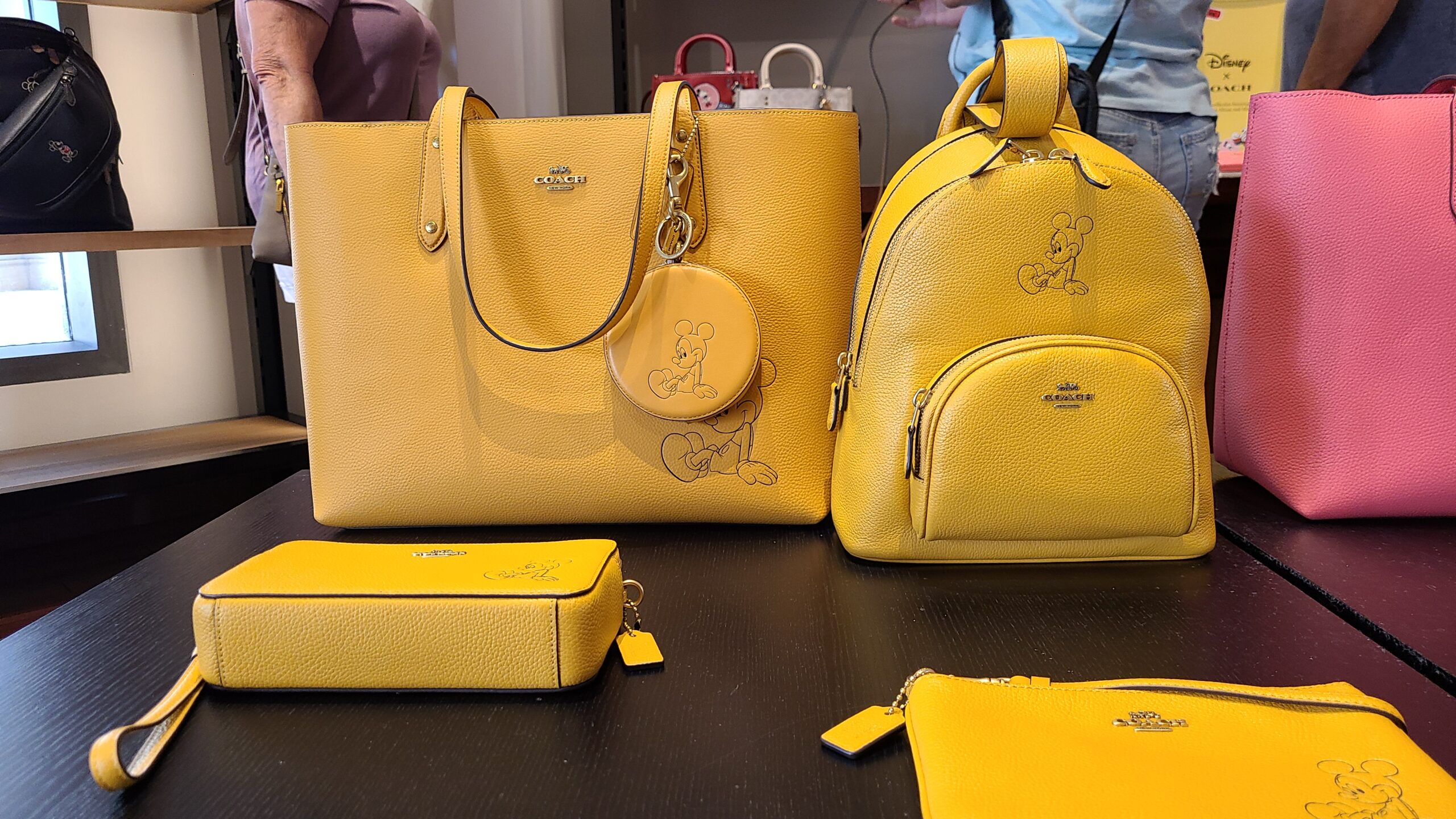 New Mickey & Minnie Coach Collection spotted at Disney Springs | Chip ...