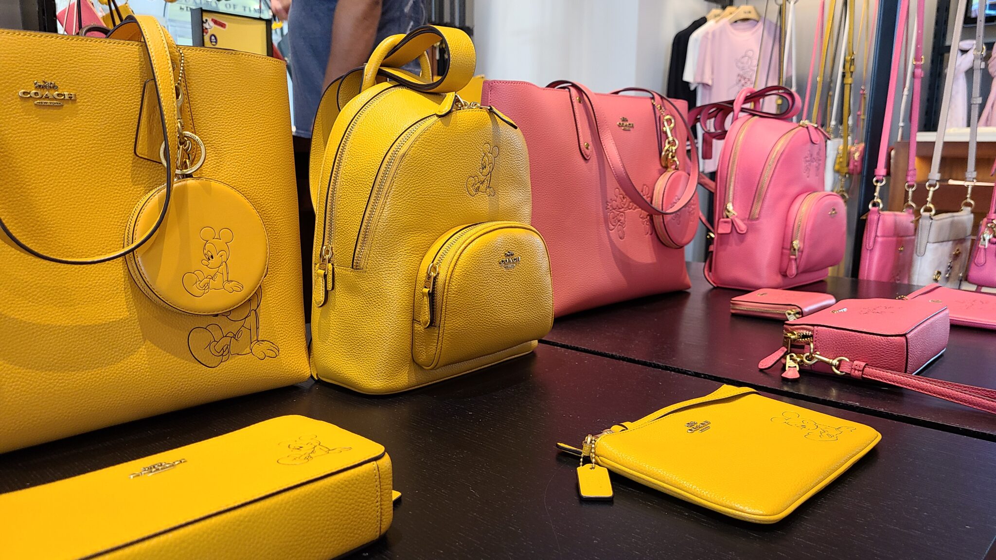 New Mickey & Minnie Coach Collection spotted at Disney Springs | Chip ...