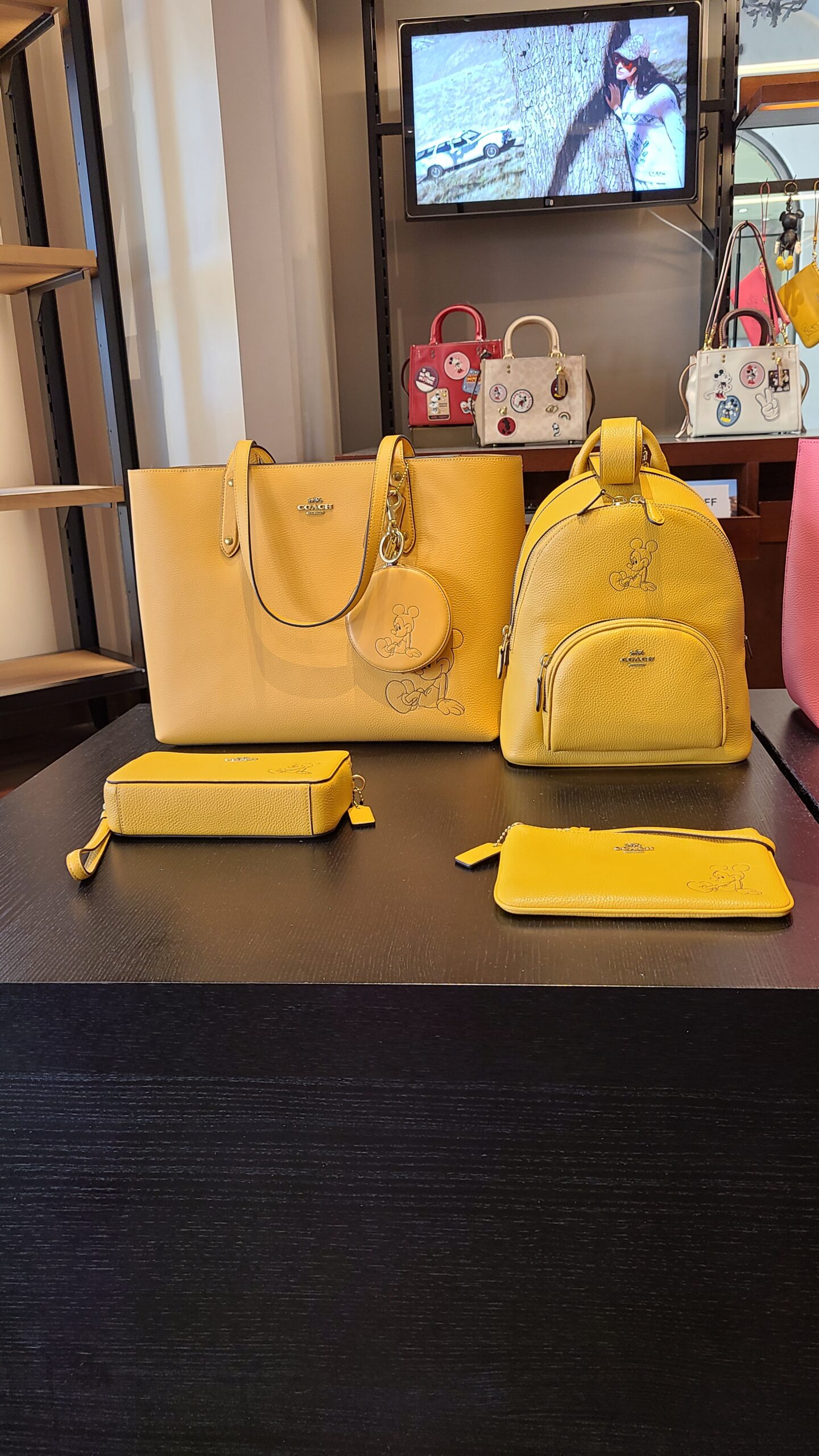 New Mickey & Minnie Coach Collection spotted at Disney Springs | Chip ...