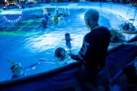 New Images from the Set of 'Avatar 2' Feature New Beach and Underwater ...