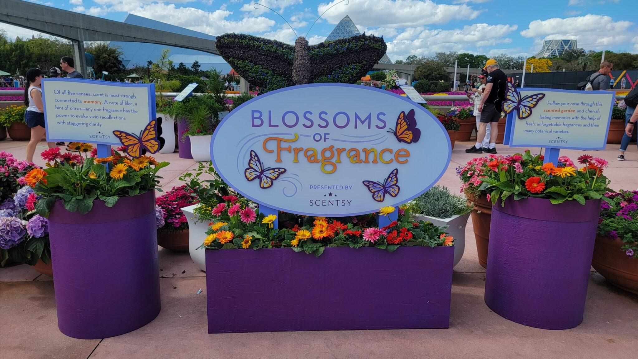 New Scentsy Blossoms of Fragrance Display in Epcot for Flower & Garden ...
